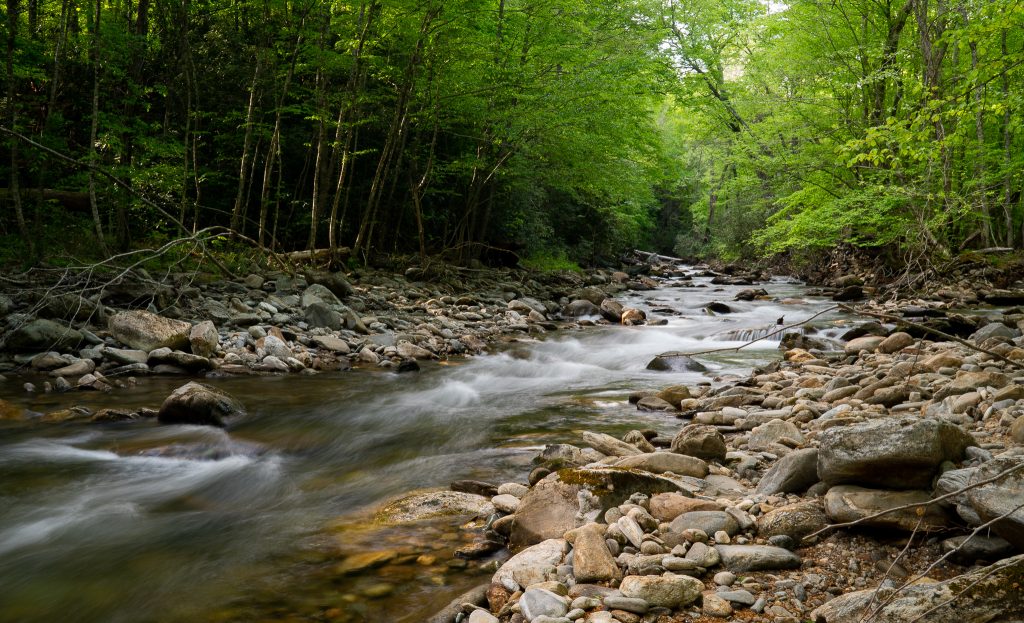 Big Budget Win for Conservation - Conservation Trust for North Carolina