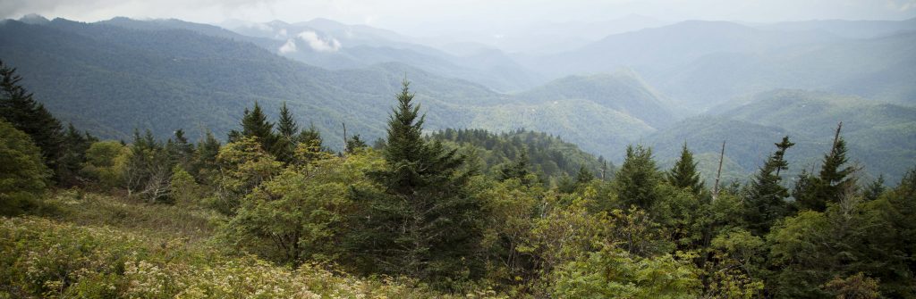 Waterrock Knob - Conservation Trust for North Carolina