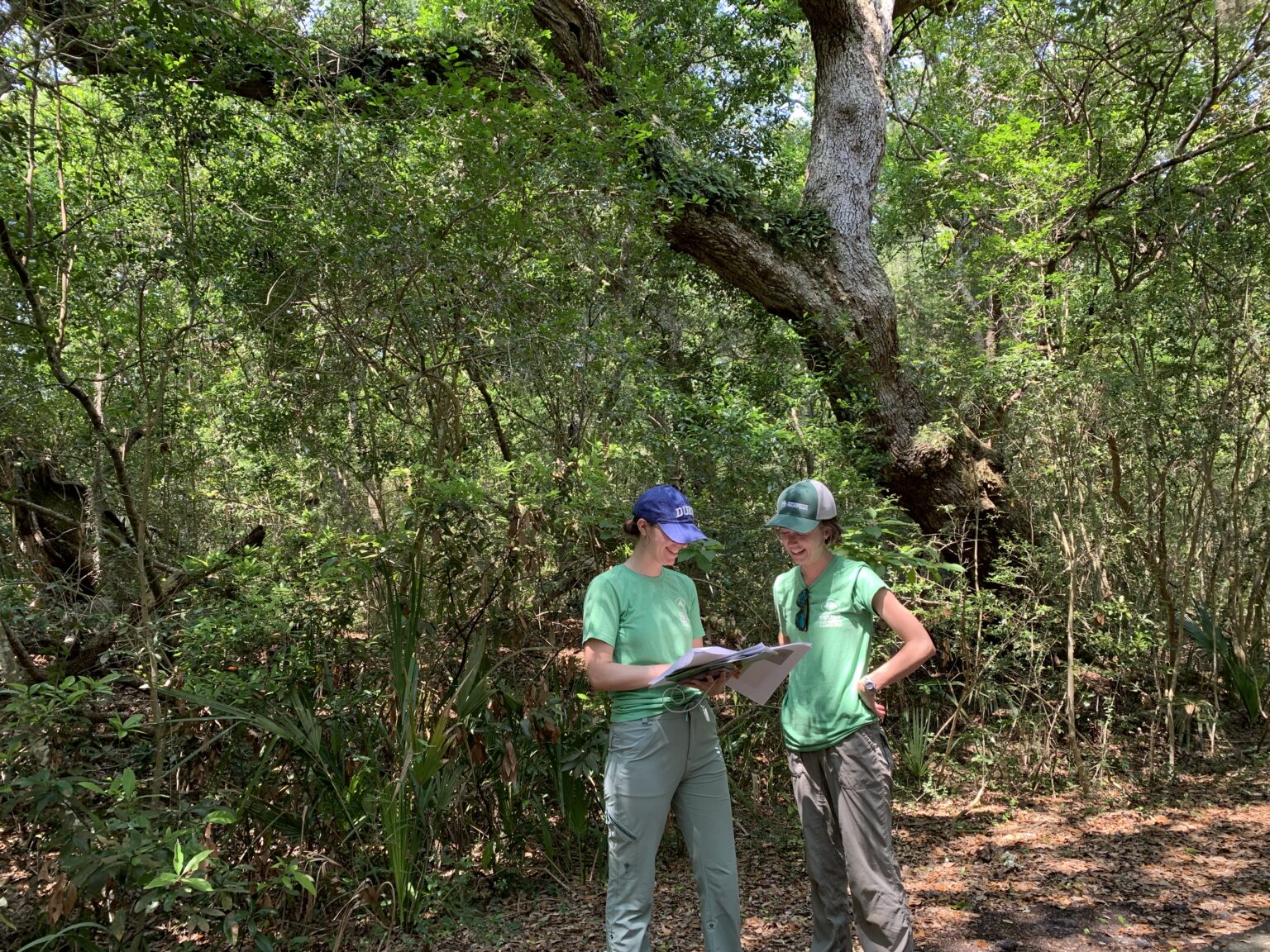 CTNC and Bald Head Island Conservation Partners Collaborate to Build ... CTNC and Bald Head Island Conservation Partners Collaborate to Build ...