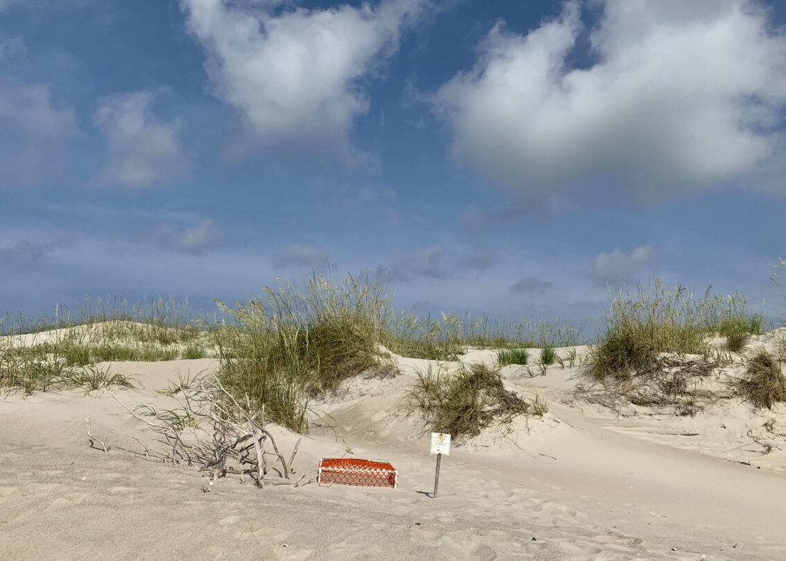 CTNC and Bald Head Island Conservation Partners Collaborate to Build ... CTNC and Bald Head Island Conservation Partners Collaborate to Build ...