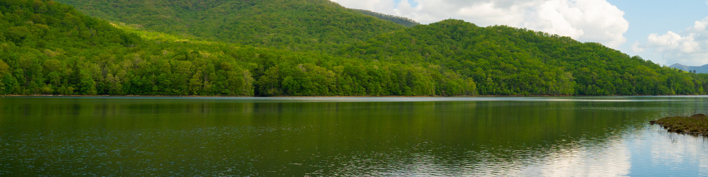 Asheville Watershed Conservation Area - Conservation Trust for North ...