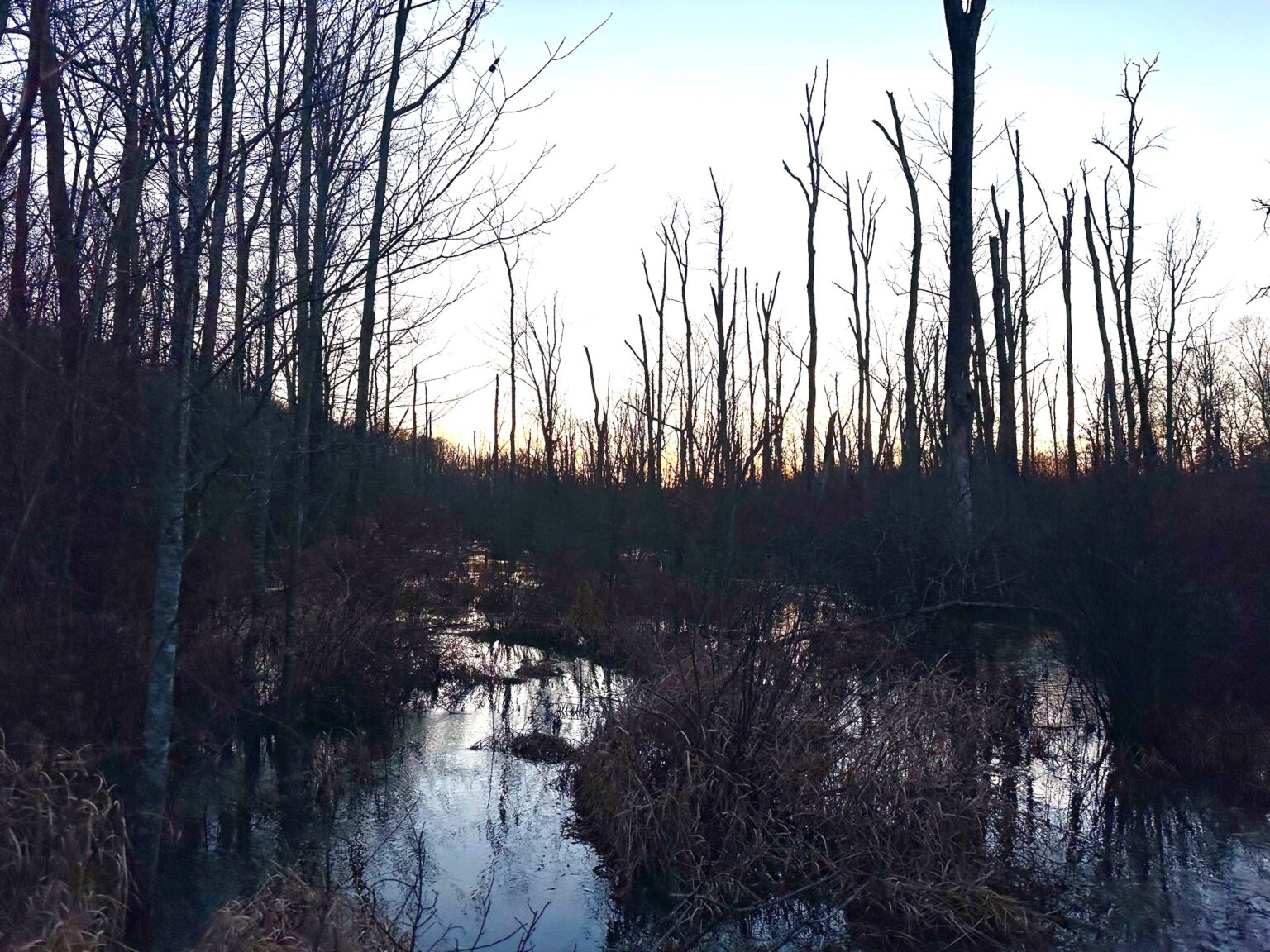 A Path Towards Regional Flood Resilience Strategies - Conservation ...