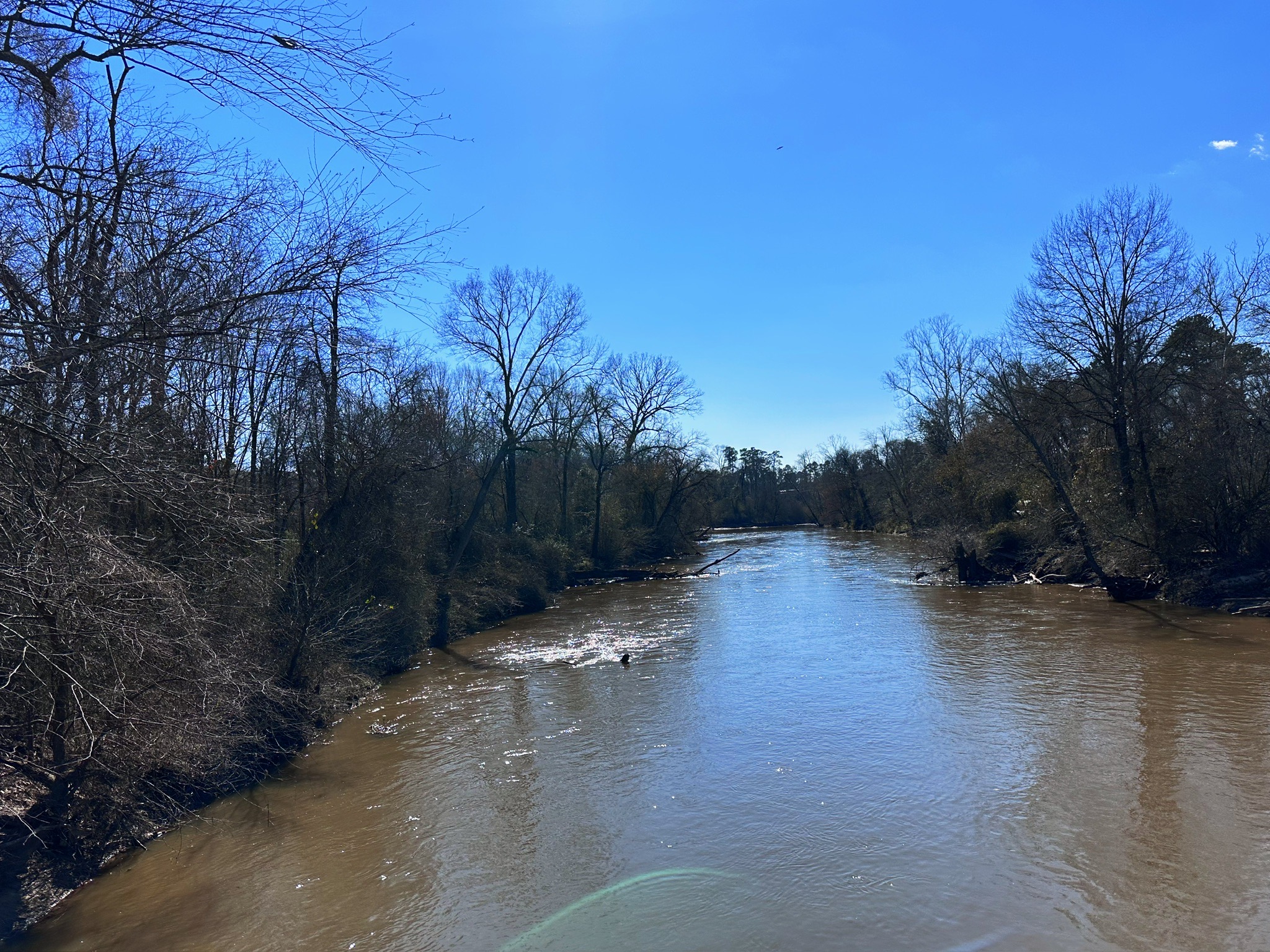 A Path Towards Regional Flood Resilience Strategies - Conservation ...