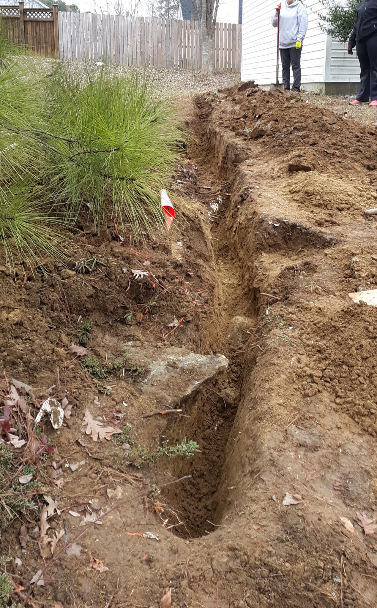 Building Resilience in Central North Carolina - Conservation Trust for ...