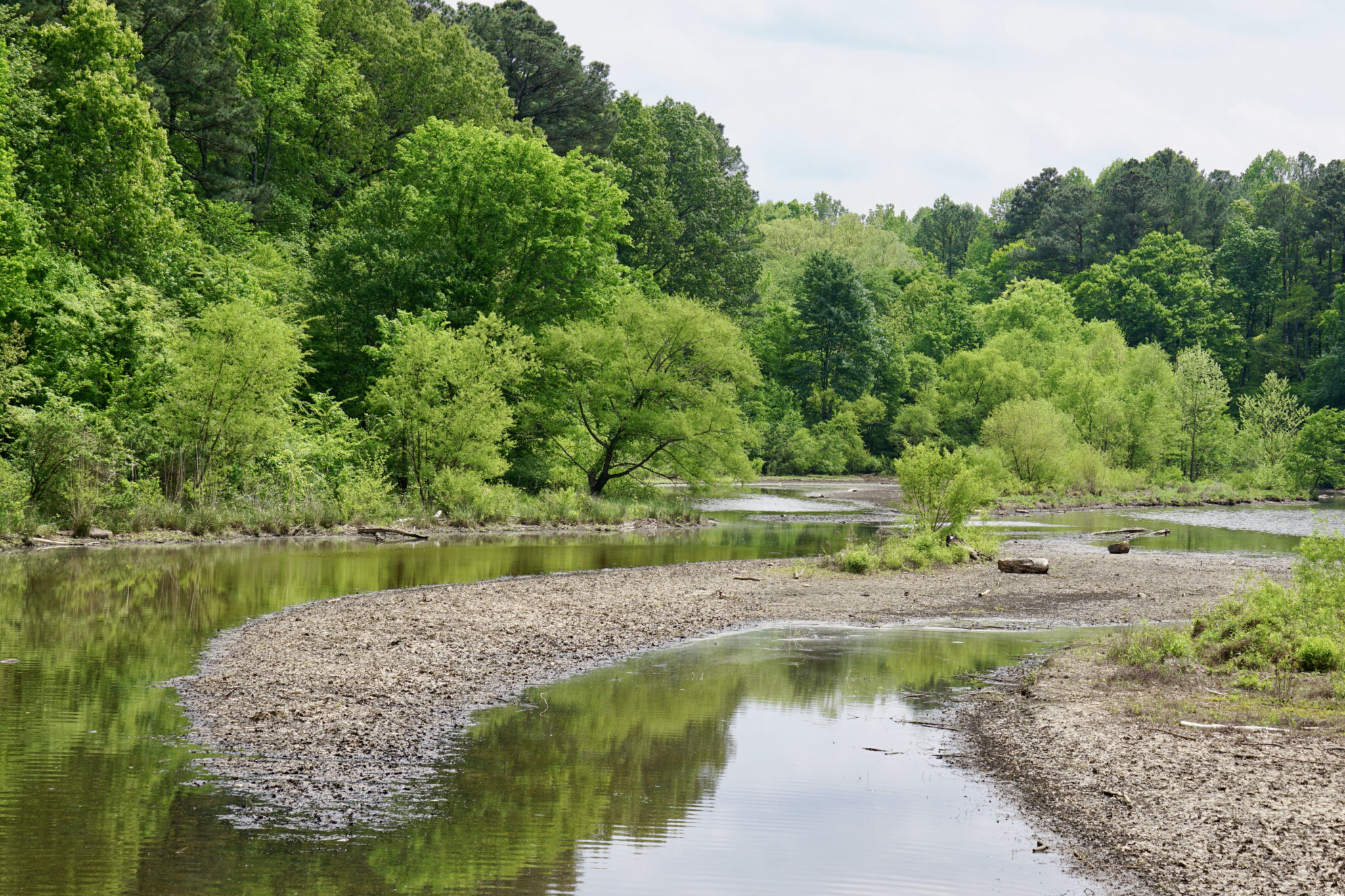 Celebrating Earth Day Every Day: A Tribute to Conservation Efforts in ...